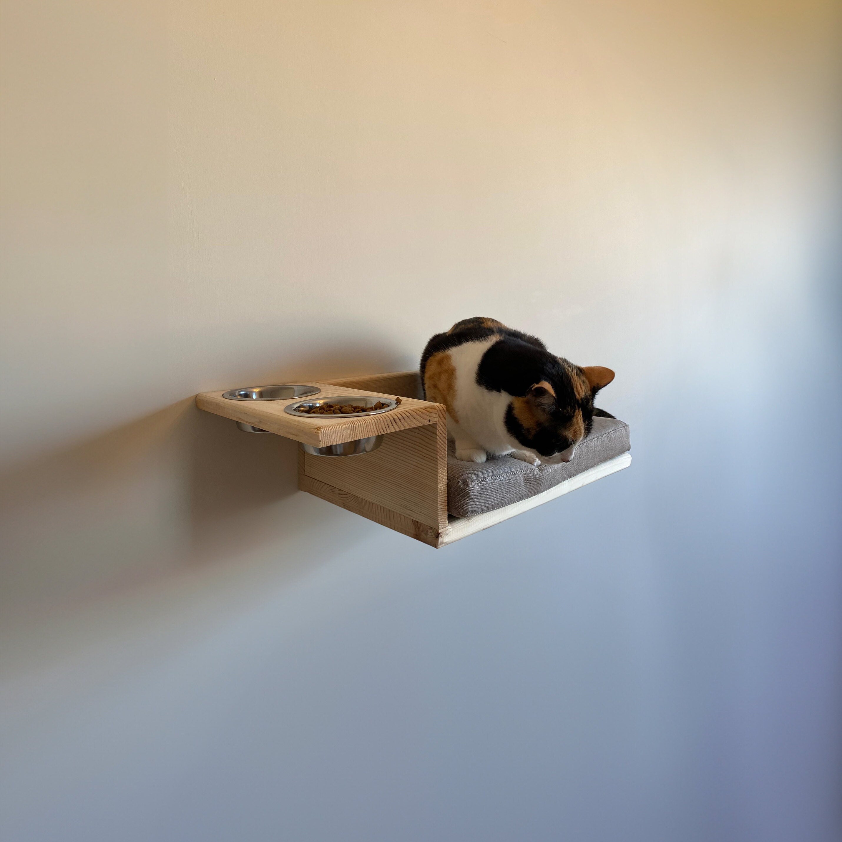 Customizable Cat Feeding Station With Wall Mounted Shelves and Metal ...