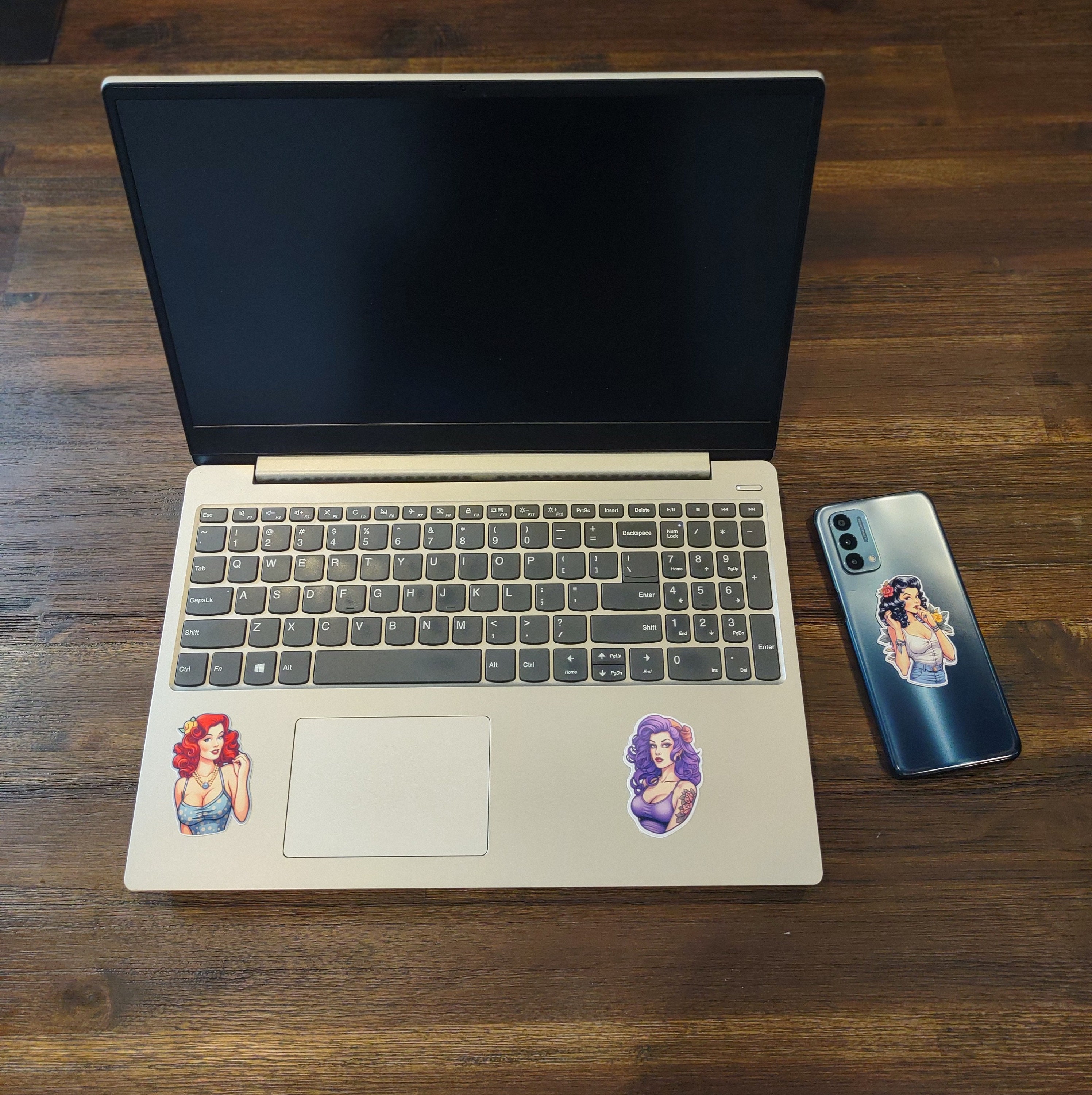 5 Pack Pin-up Girl Stickers | Vintage Retro Pin-up Girls | Laptop ...