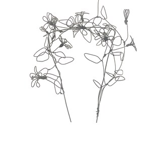 Jasmine Lily Wire Flowers / Hanging Plants / Wire Office Decoration ...
