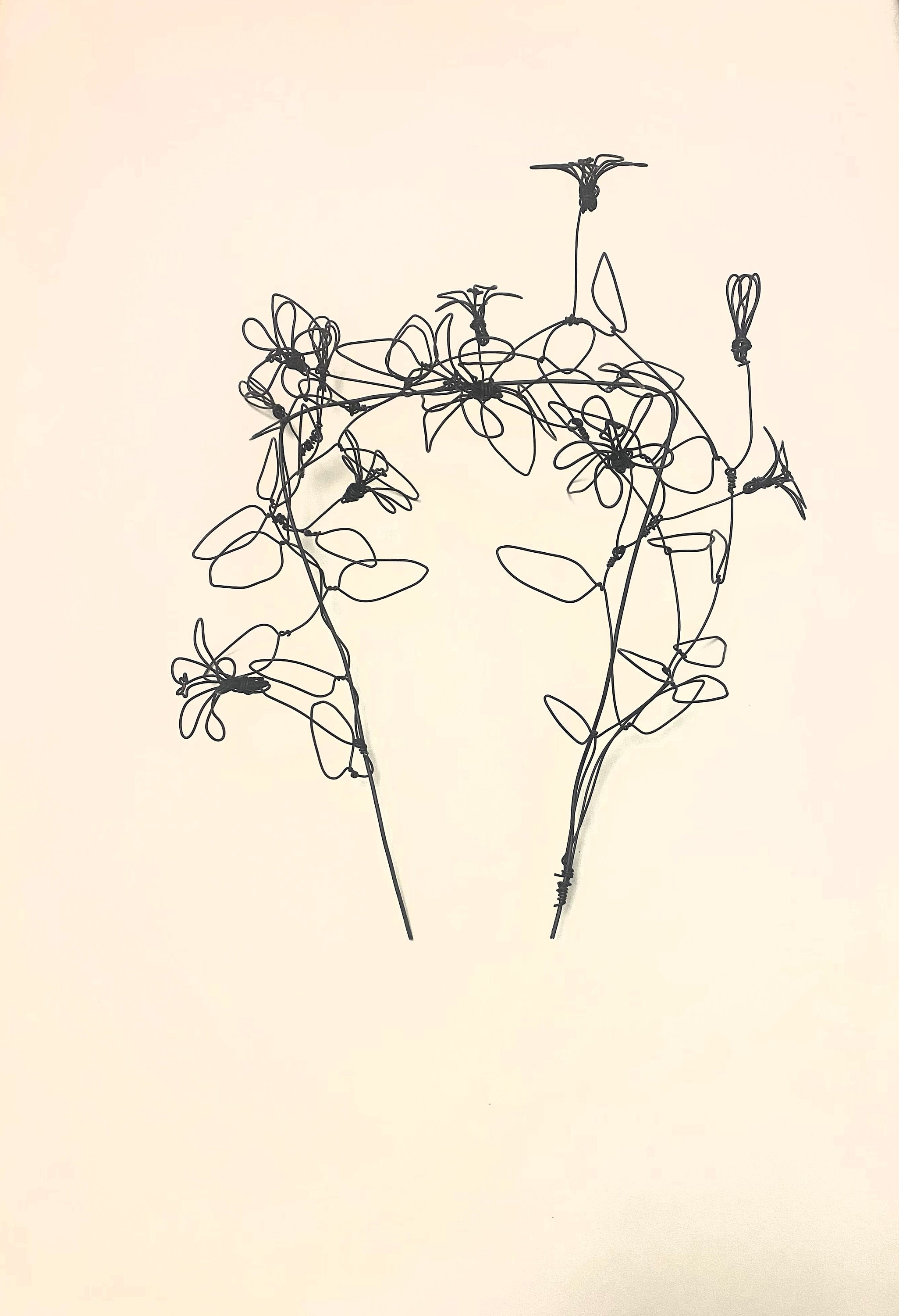 Jasmine Lily Wire Flowers / Hanging Plants / Wire Office - Etsy