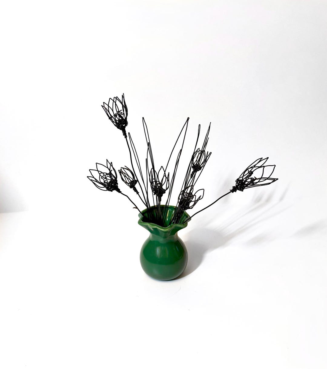 Crocus Flowers Bouquet From Seven Flowers and Leaves / Spring Flowers ...