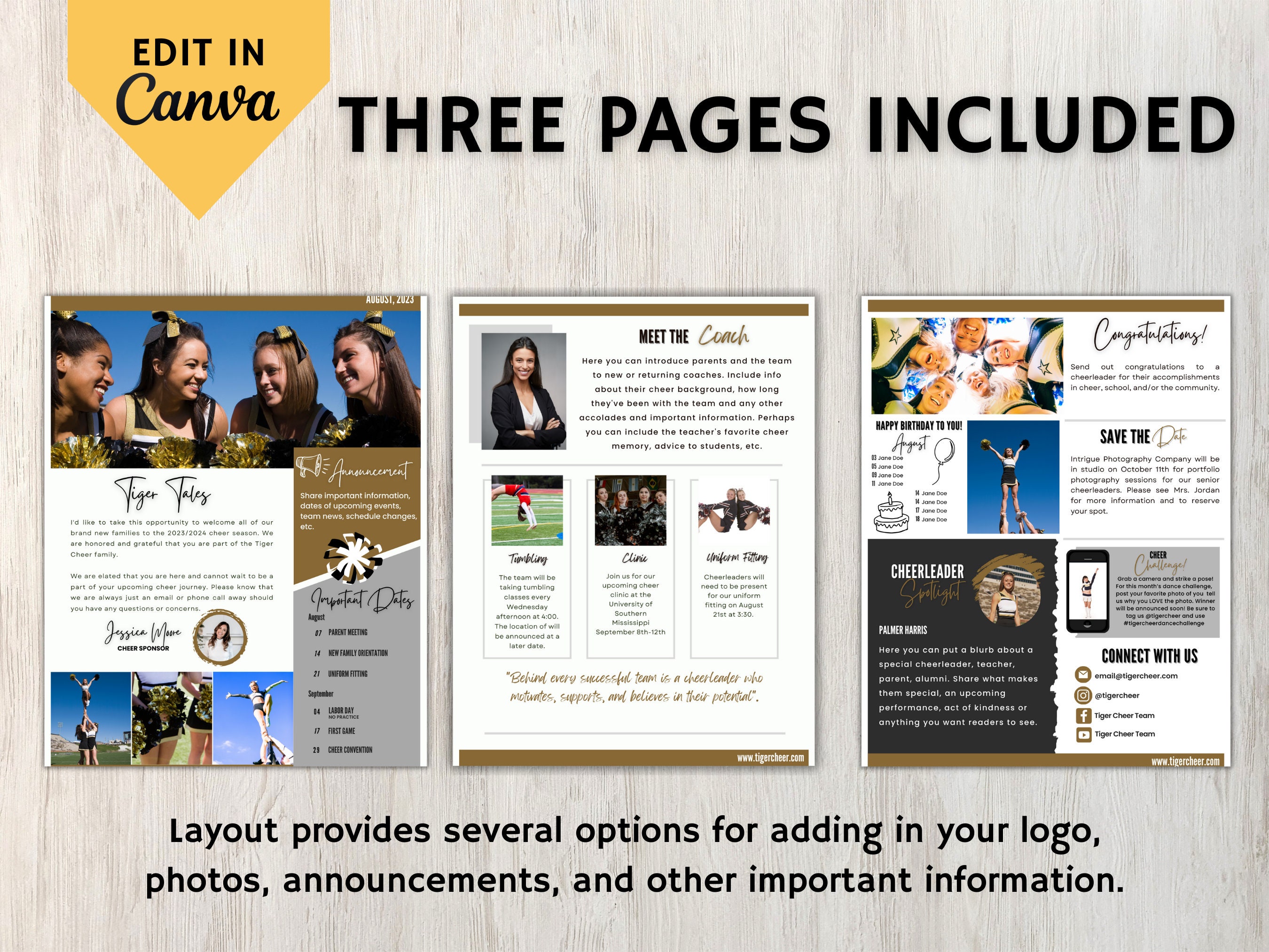 CHEER NEWSLETTER Editable Canva Template | Cheer Team Email | Dance ...