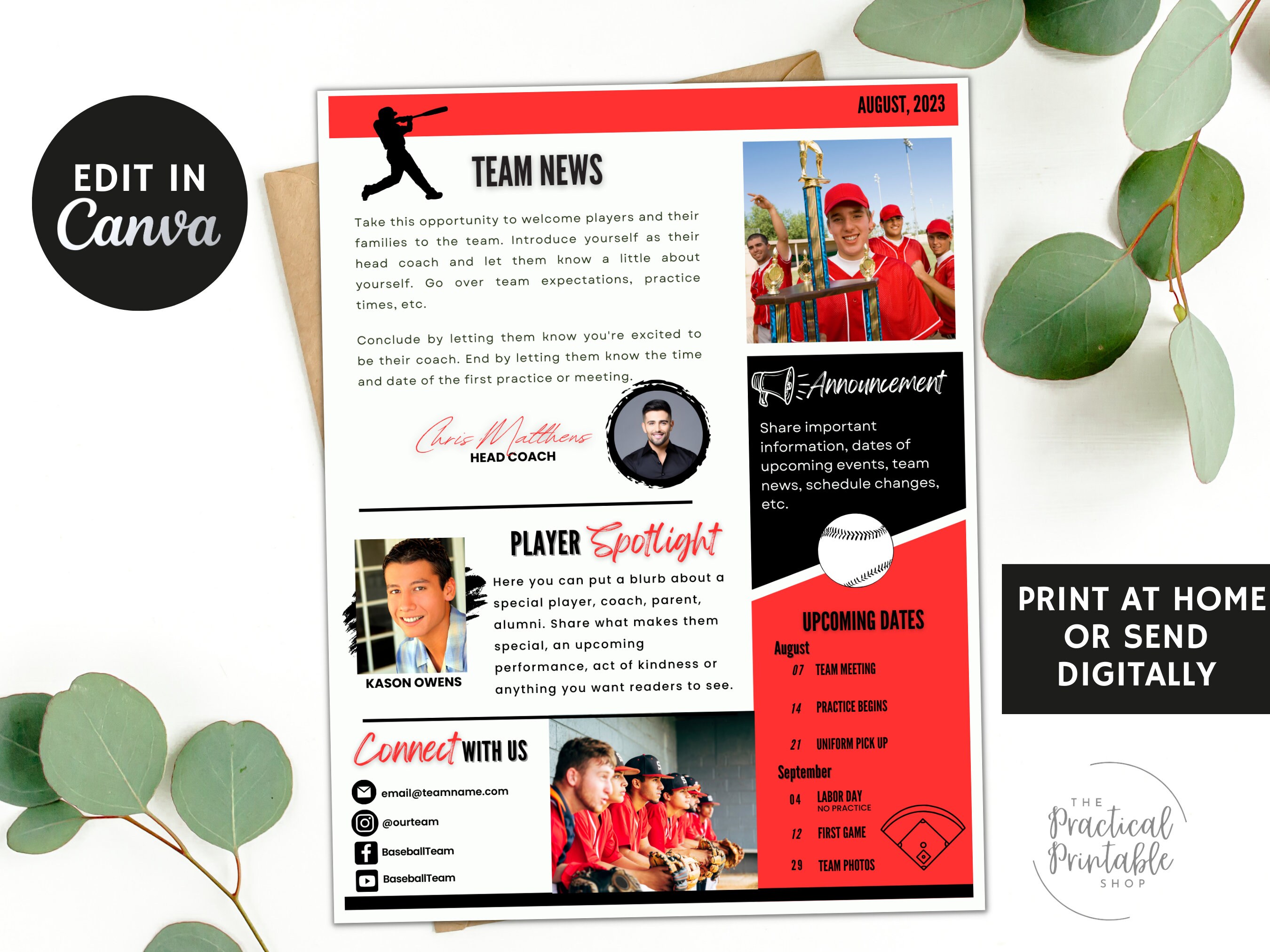 BASEBALL TEAM NEWSLETTER Editable Canva Template | Baseball Team Email ...