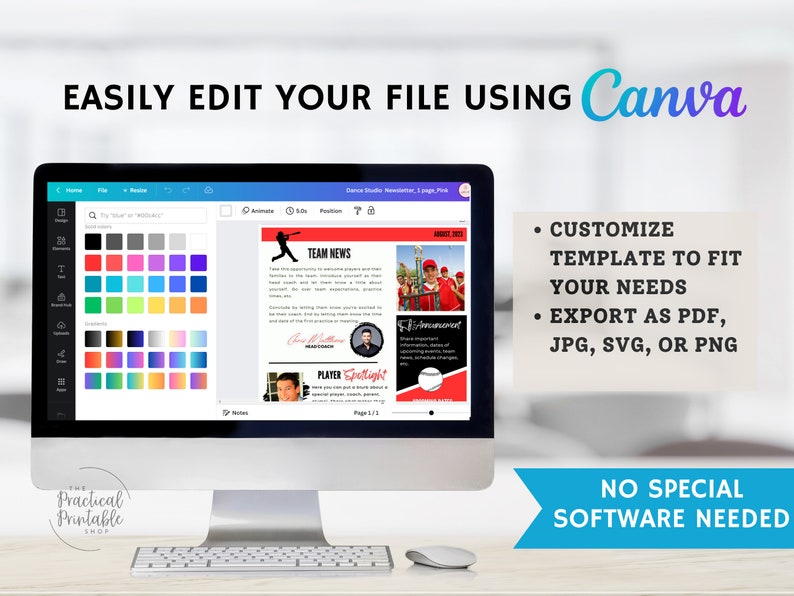 BASEBALL TEAM NEWSLETTER Editable Canva Template | Baseball Team Email ...