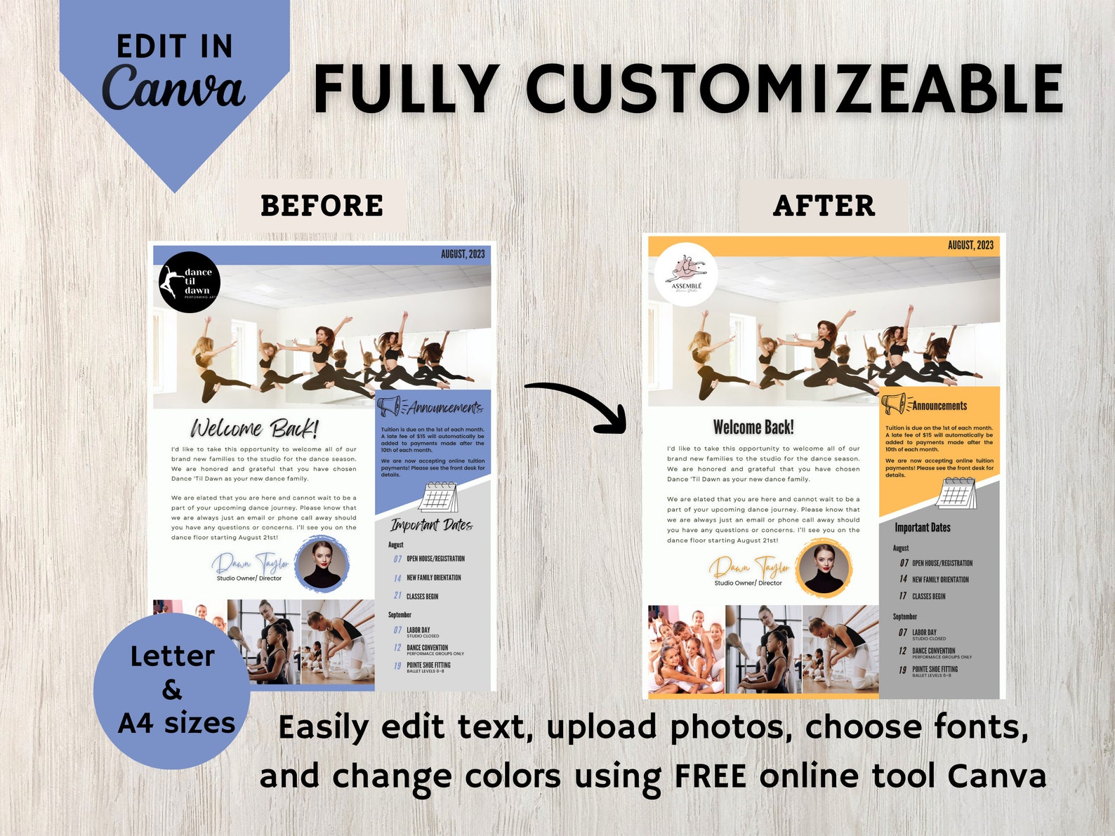DANCE STUDIO NEWSLETTER Editable Canva Template | Dance School Email ...