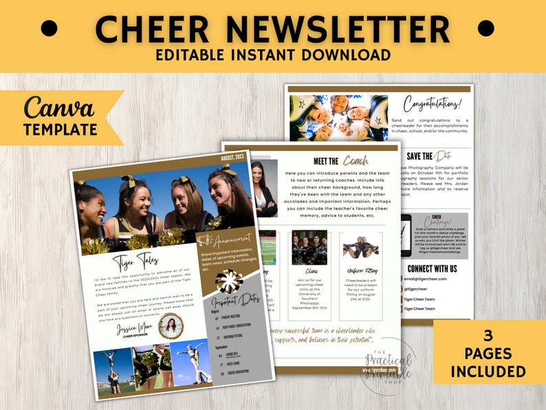 CHEER NEWSLETTER Editable Canva Template | Cheer Team Email | Dance ...
