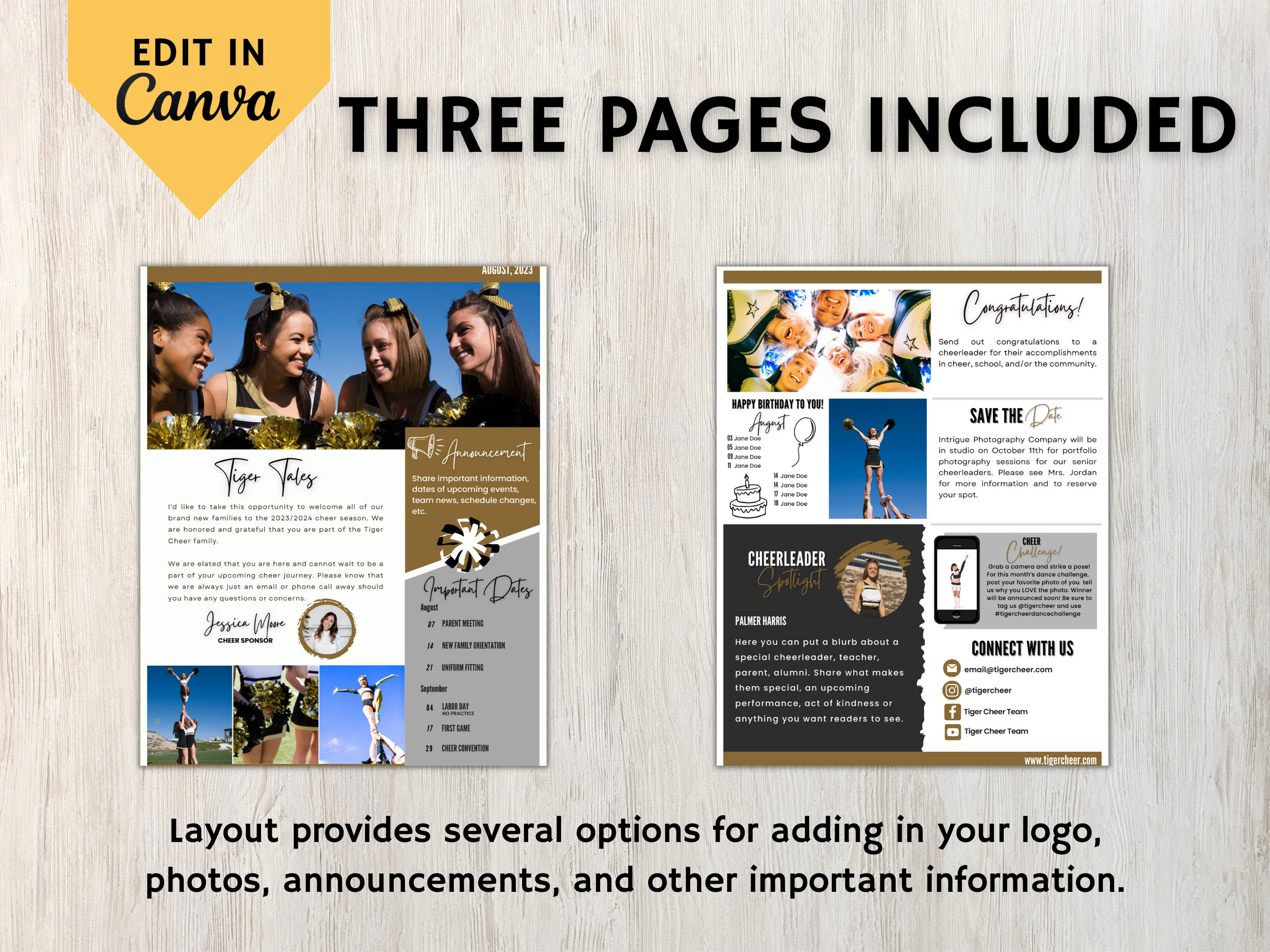 CHEER NEWSLETTER Editable Canva Template Cheer Team Email Dance Team ...