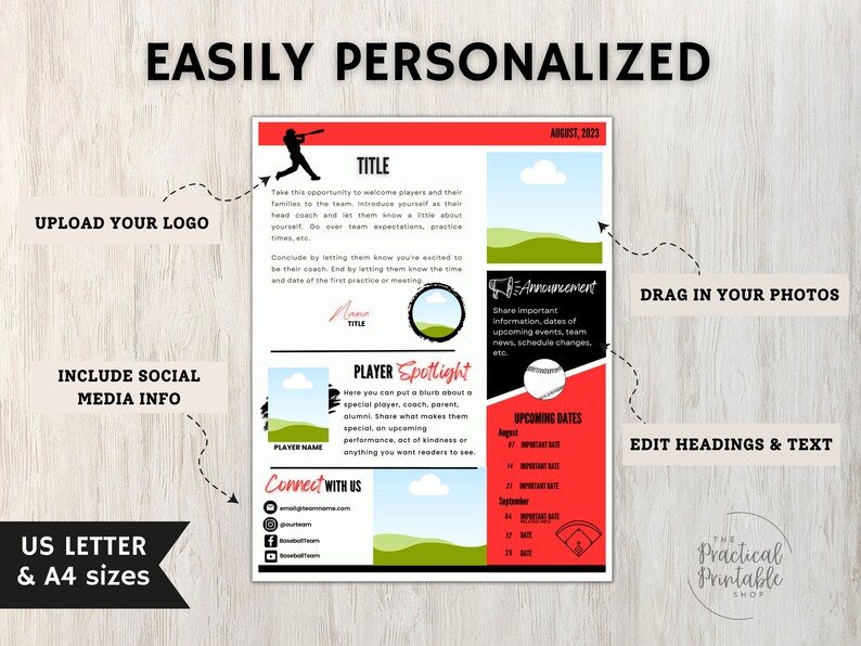 BASEBALL TEAM NEWSLETTER Editable Canva Template | Baseball Team Email ...