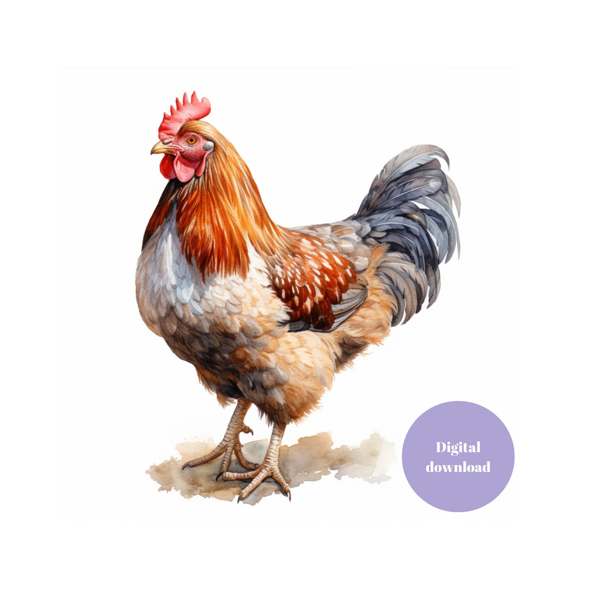 Hen Watercolor Painting, Hen Printable Wall Art, Hen Digital Download ...