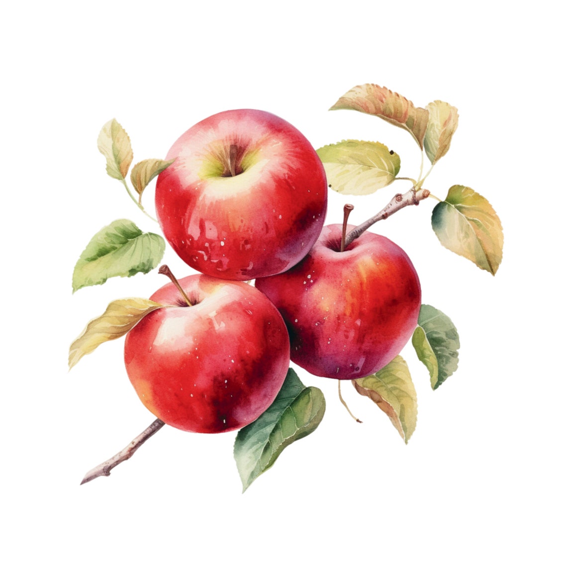 Apples Watercolor Painting, Apples Clipart - Etsy