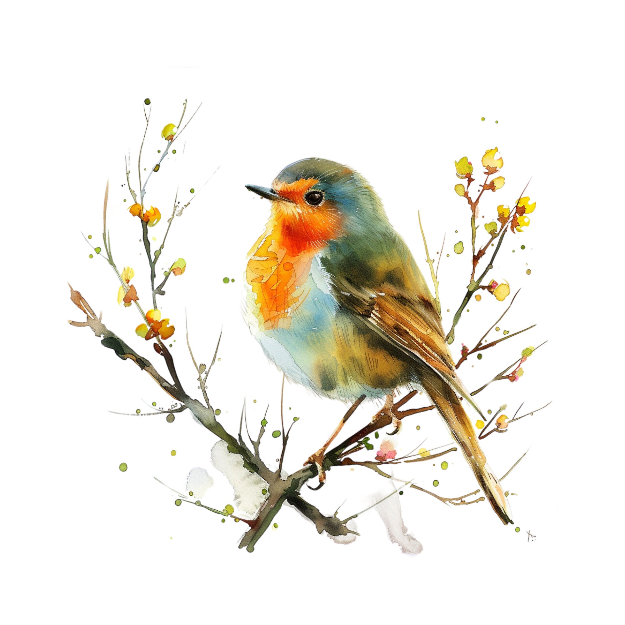 Watercolor Robin, 4 Digital Clipart Bundle, Printable Art, Pdf, Digital ...