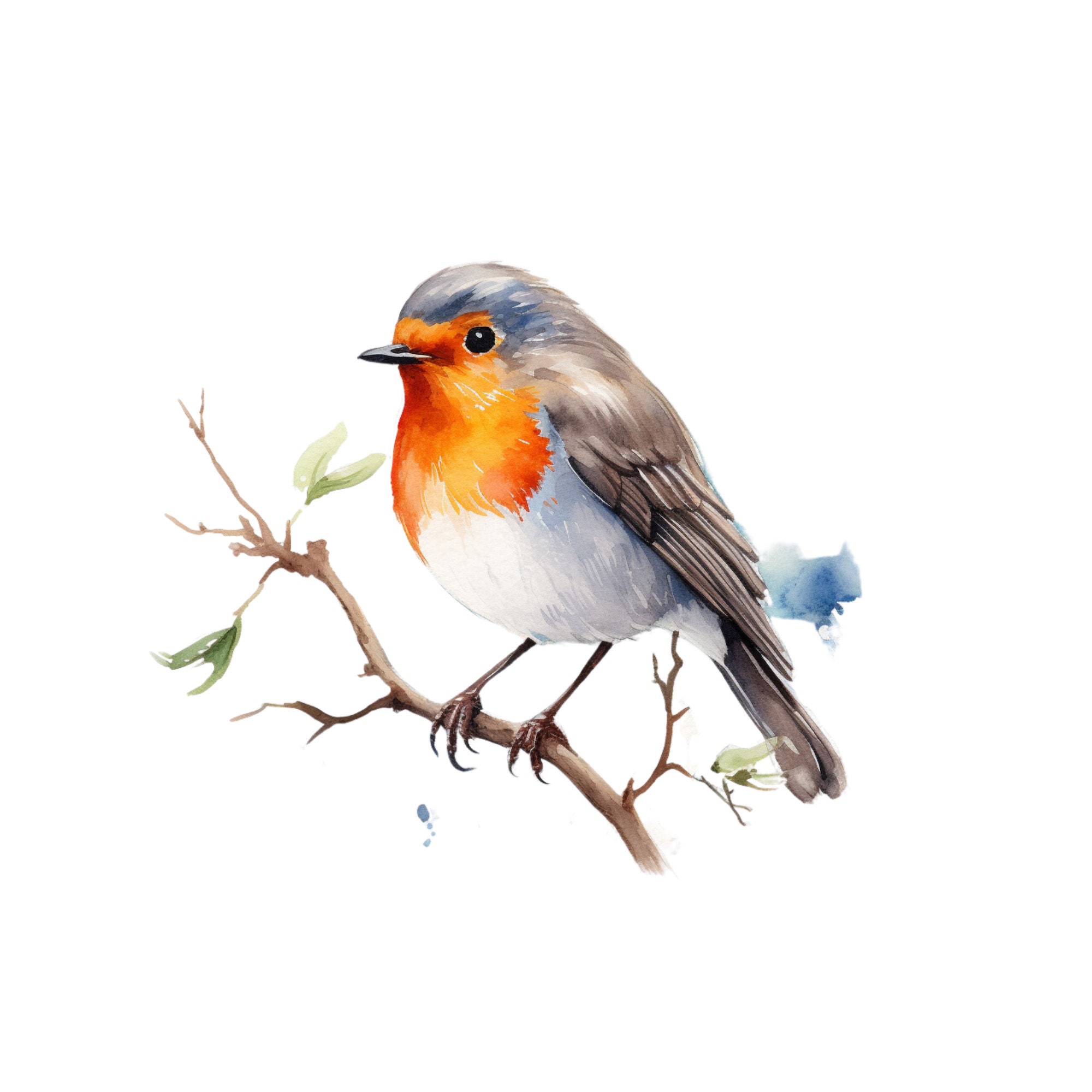 Watercolor Robin, 4 Digital Clipart Bundle , Printable Art, Pdf ...