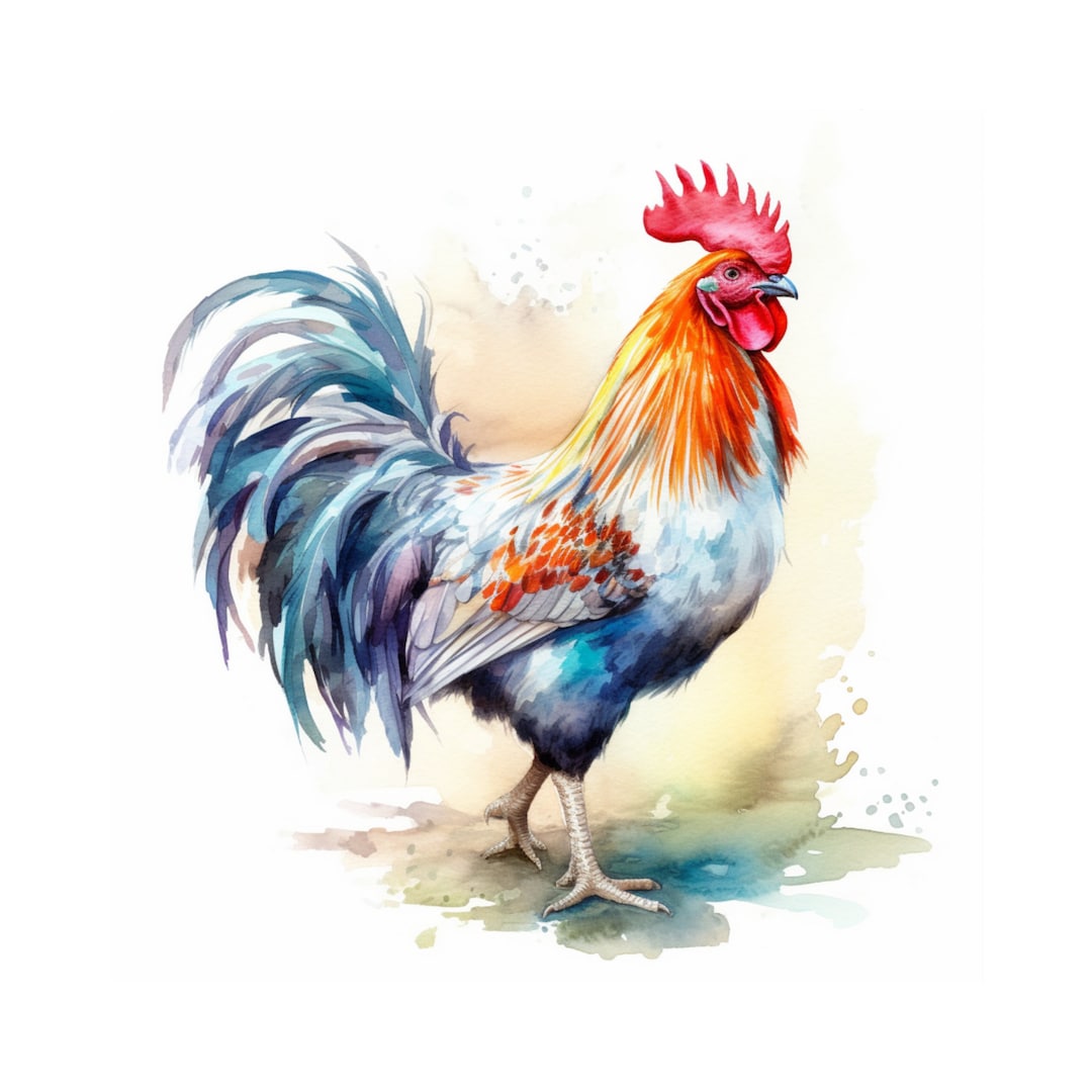 Cockerel Watercolor Painting, Cockerel Instant Download, Hen Printable ...