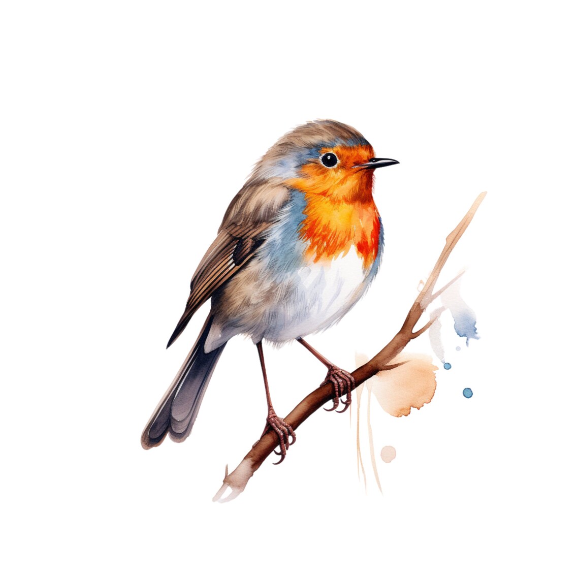 Watercolor Robin, 4 Digital Clipart Bundle , Printable Art, Pdf ...