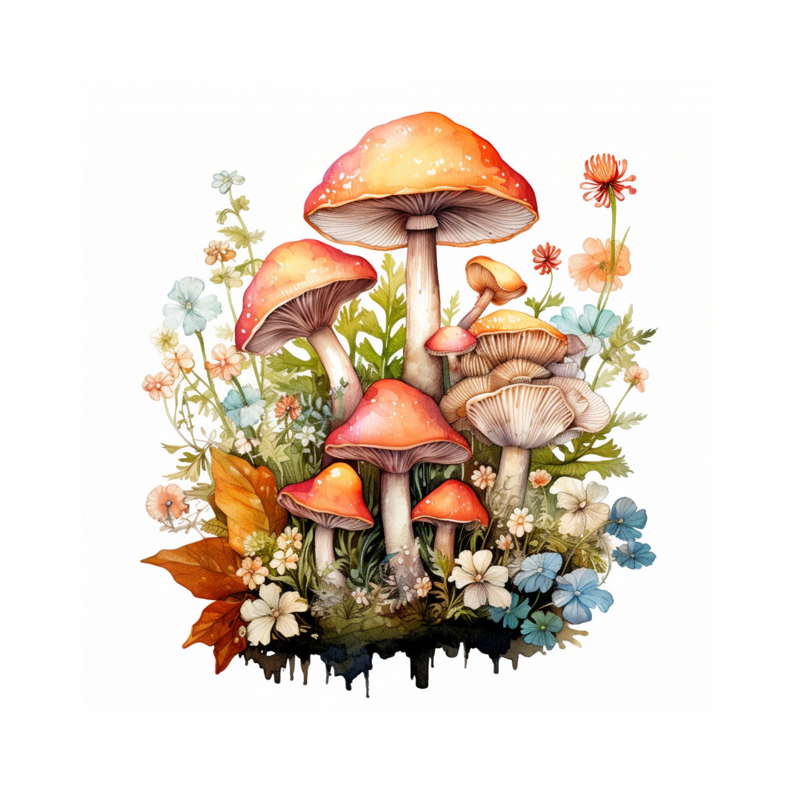 4 Mushroom Digital Cliparts, 4 Digital Clipart Bundle, Mushrooms ...