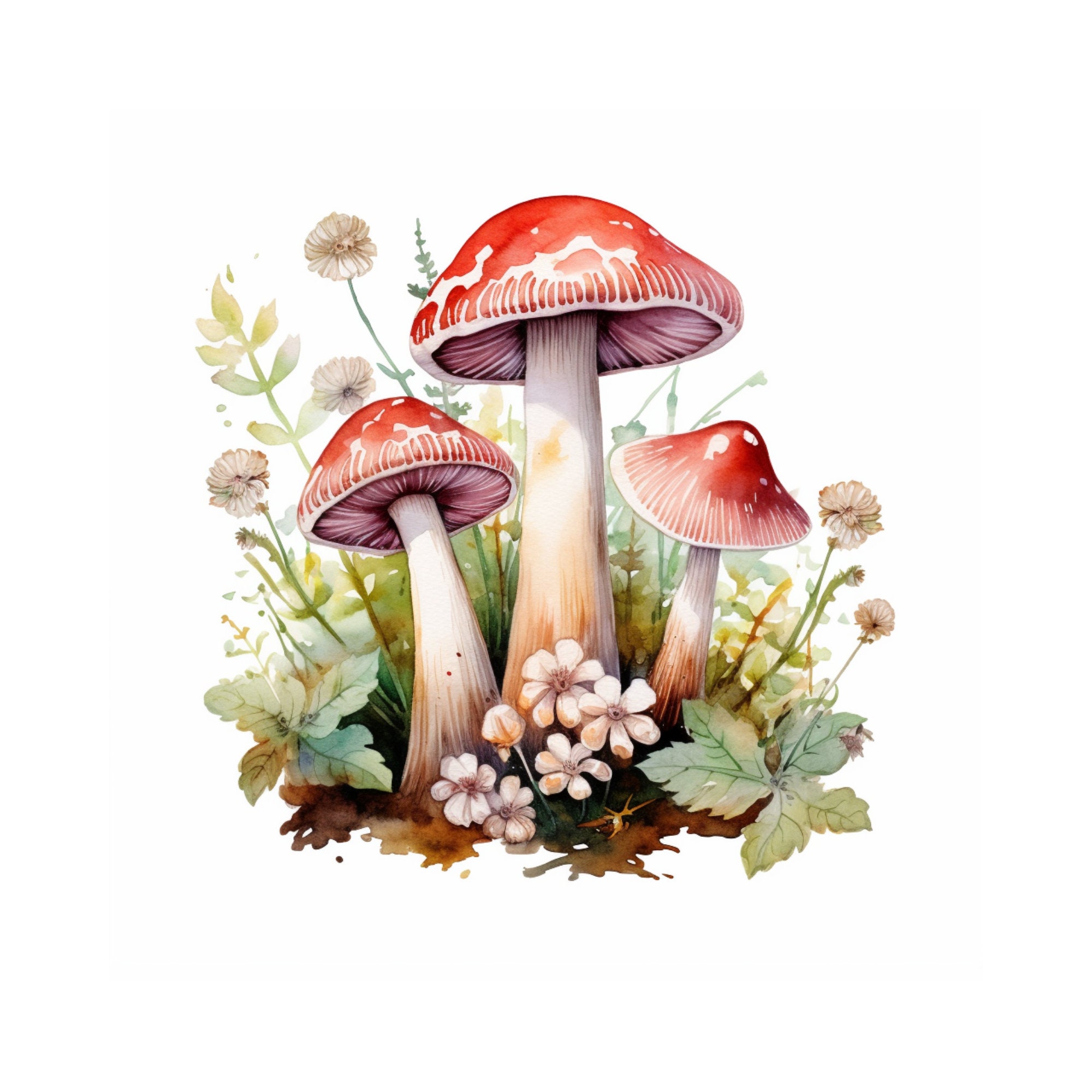 4 Mushroom Digital Cliparts, 4 Digital Clipart Bundle, Mushrooms ...