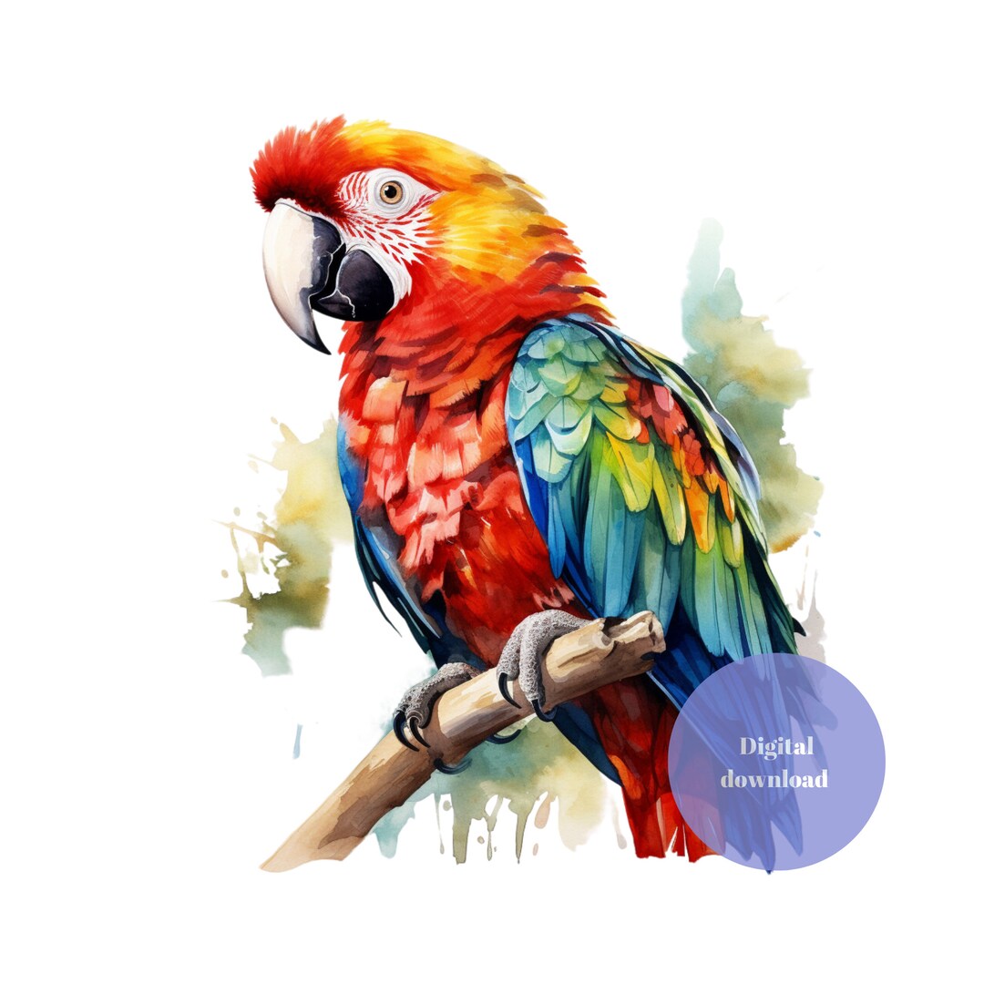 Parrot Watercolor Painting, Parrot Watercolor Printable Wall Art ...