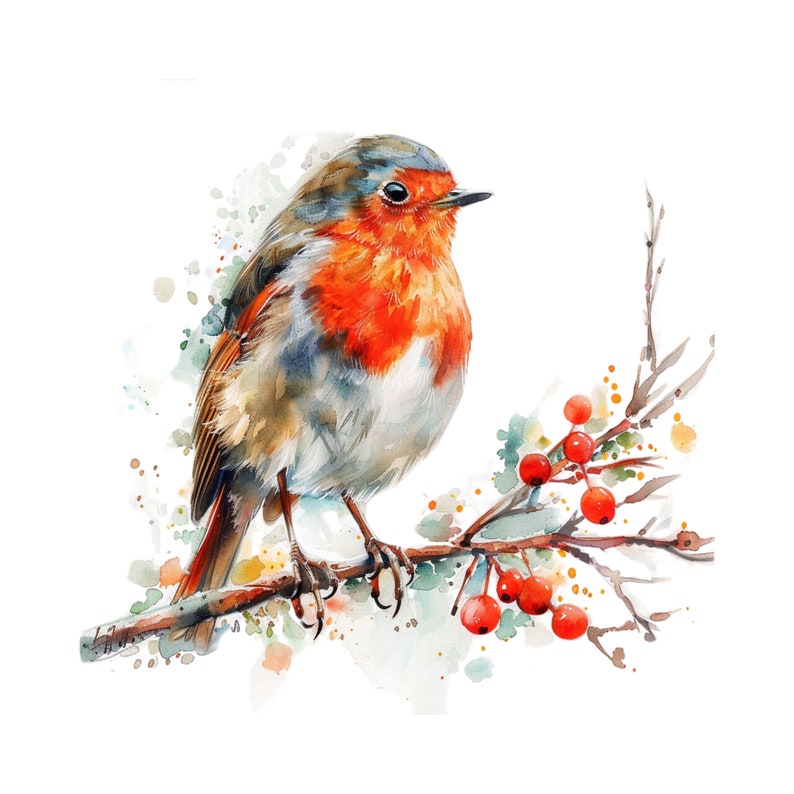 Watercolor Robin, 4 Digital Clipart Bundle, Printable Art, Pdf, Digital ...