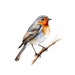 Watercolor Robin, 4 Digital Clipart Bundle , Printable Art, Pdf ...