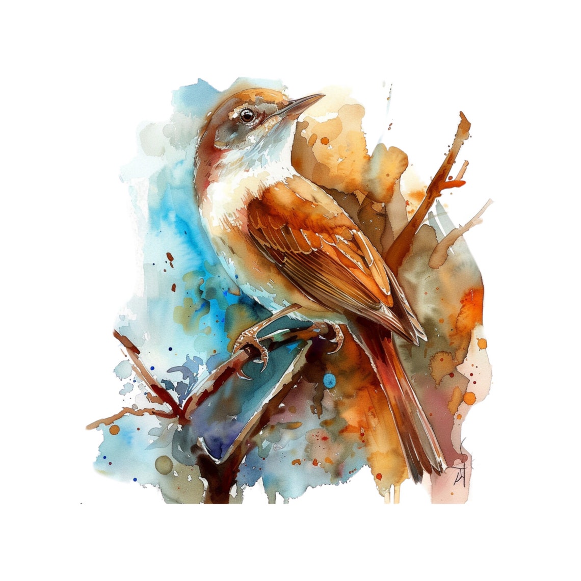 Nightingale Watercolor Painting Digital Wall Art, Digital Art Print ...