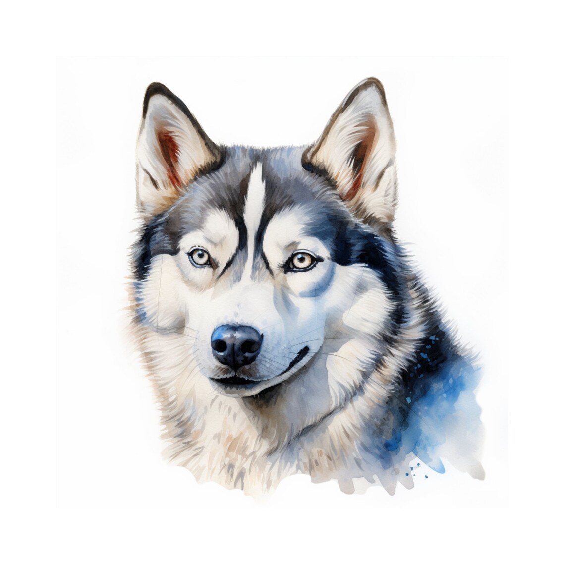Siberian Husky Watercolor Painting, Husky Printable Wall Art, Pet ...