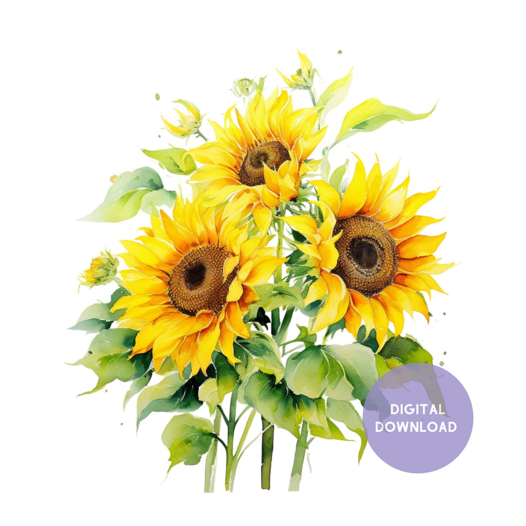 Sunflowers Printable Wall Art , Sunflowers Digital Download ...