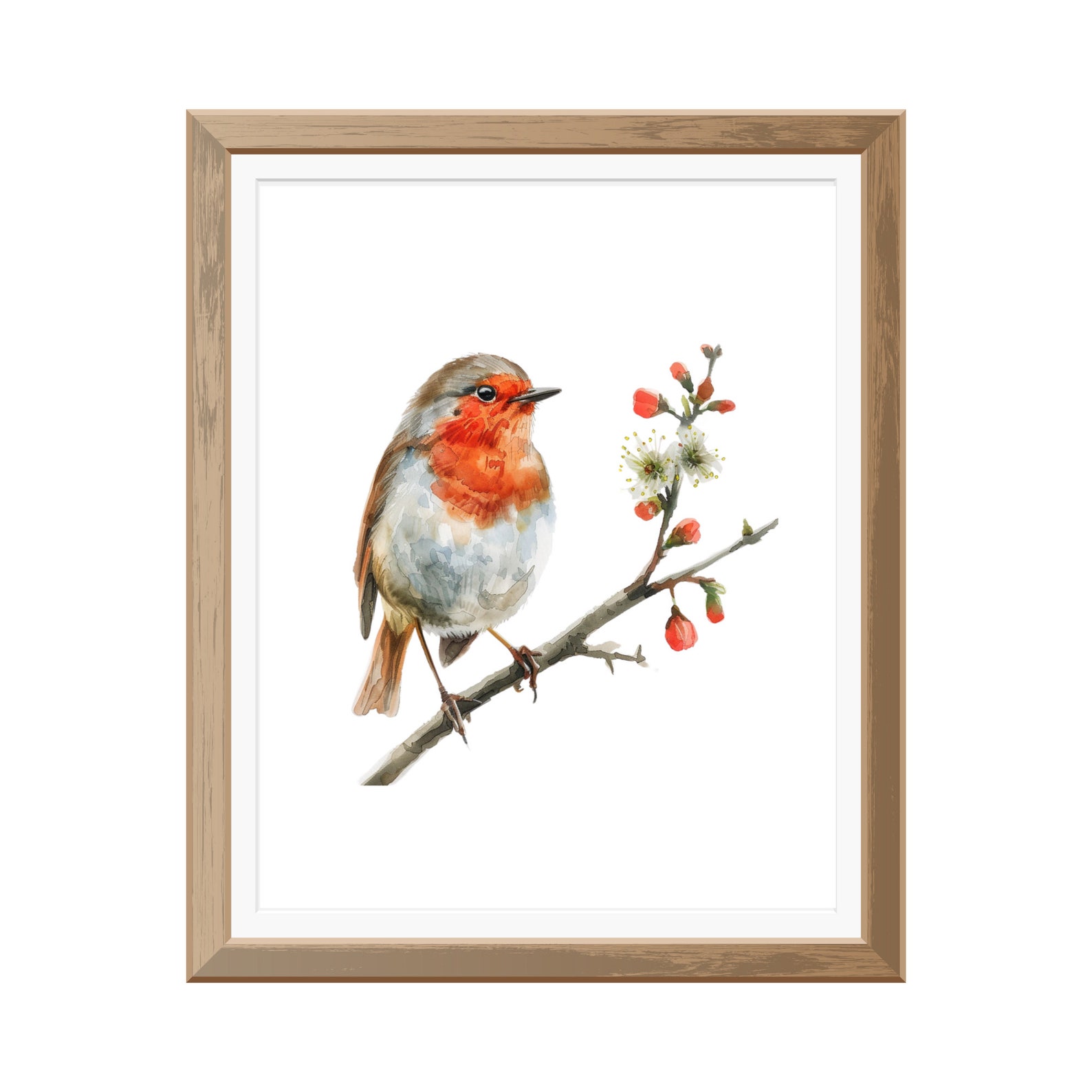 Watercolor Robin, 4 Digital Clipart Bundle, Printable Art, Pdf, Digital ...