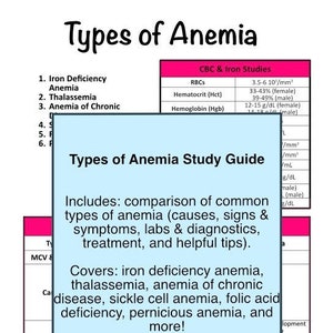 Types of Anemia Study Guide - Etsy
