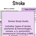 Stroke Study Guide - Etsy