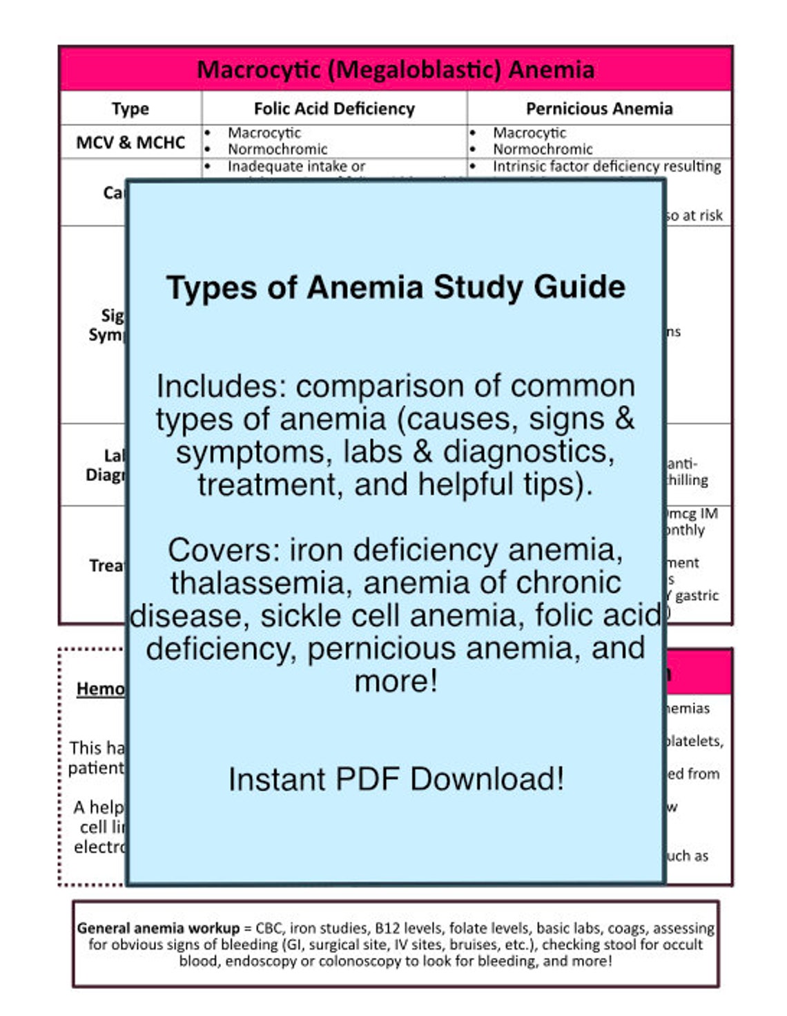 Types of Anemia Study Guide - Etsy