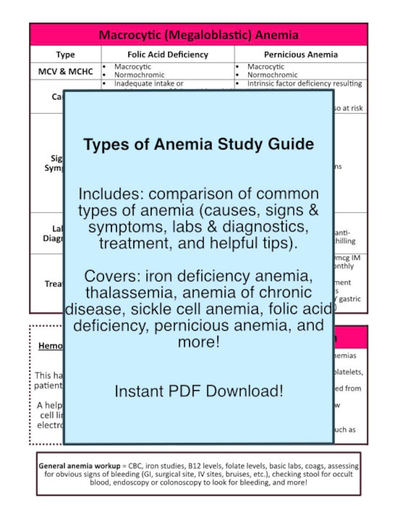 Types of Anemia Study Guide - Etsy