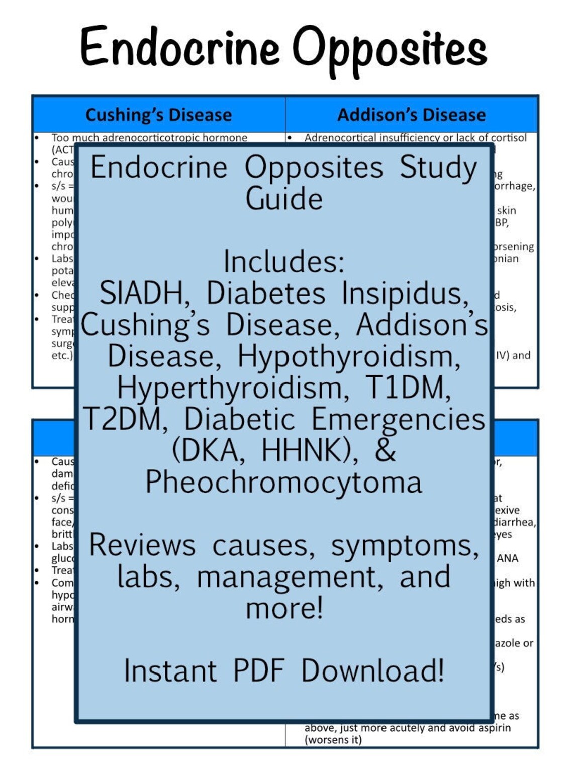 Endocrine Study Guide - Etsy