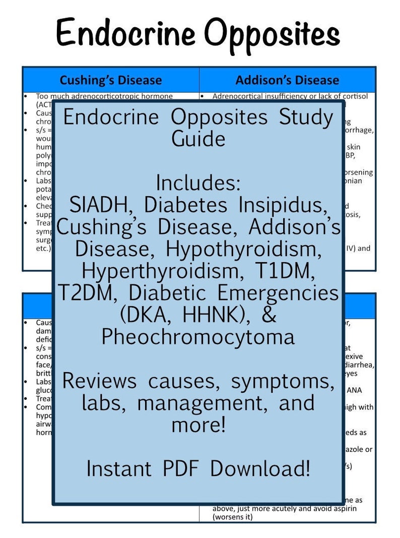 Endocrine Study Guide - Etsy