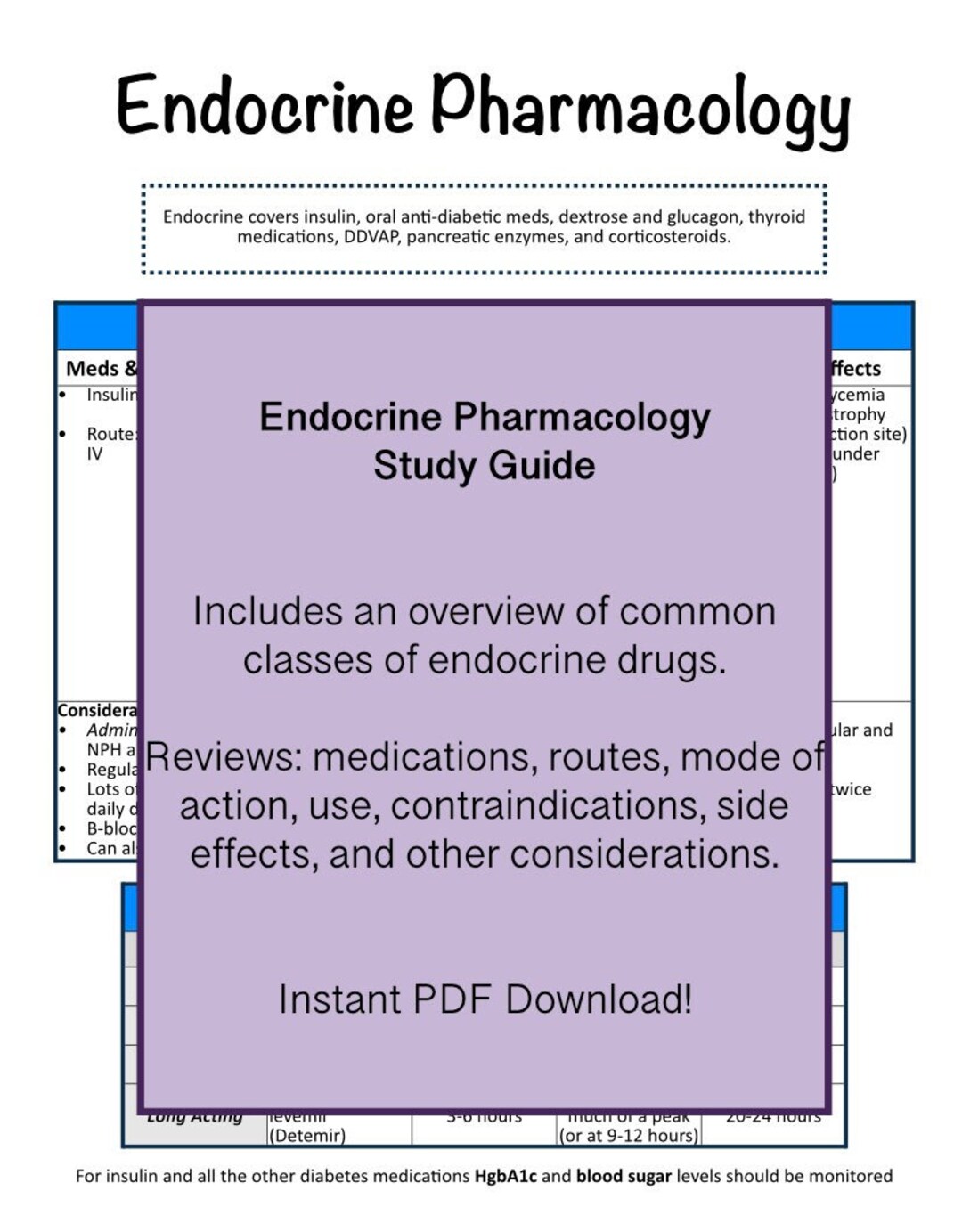 Endocrine Pharmacology Study Guide - Etsy