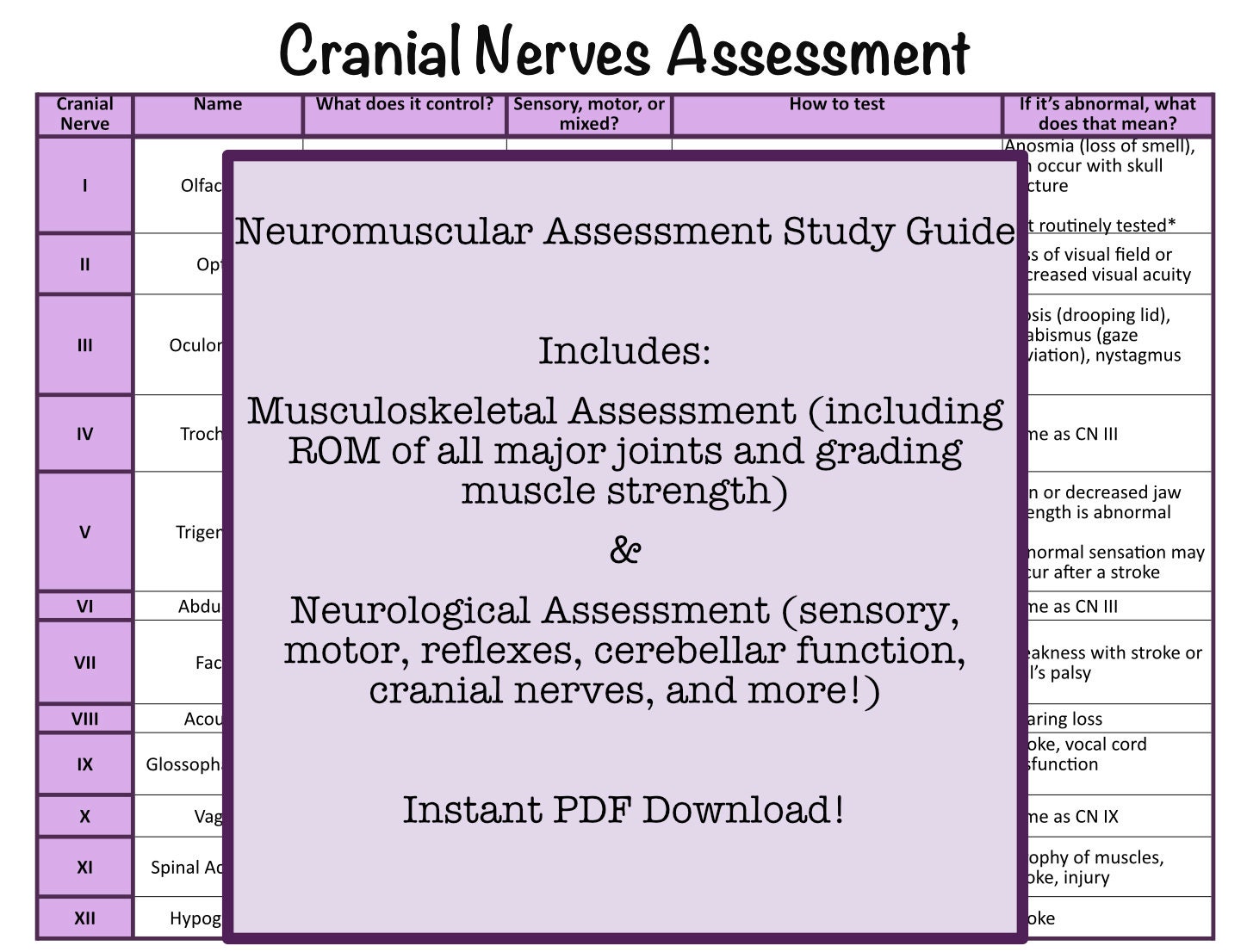 Complete Health Assessment Bundle - Etsy