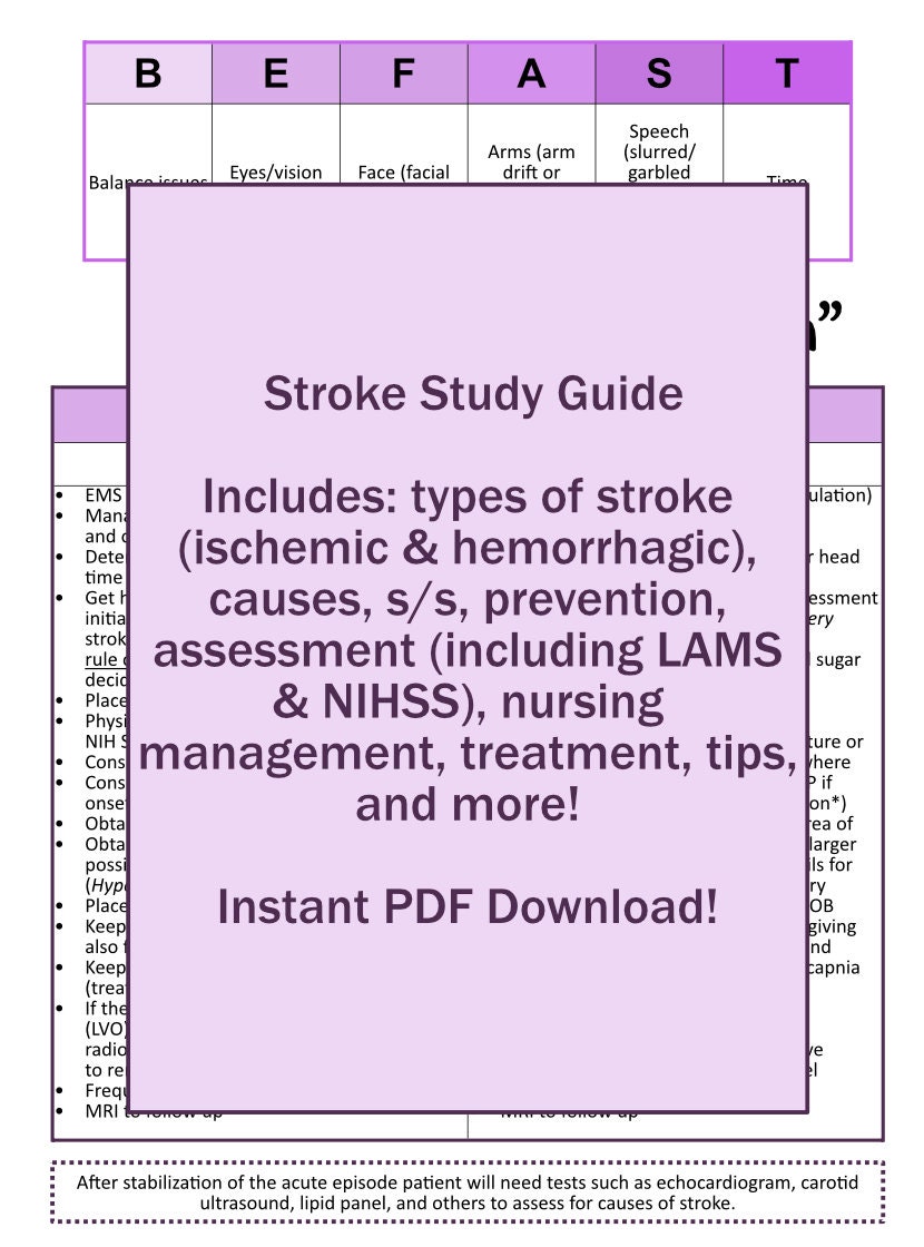 Stroke Study Guide - Etsy