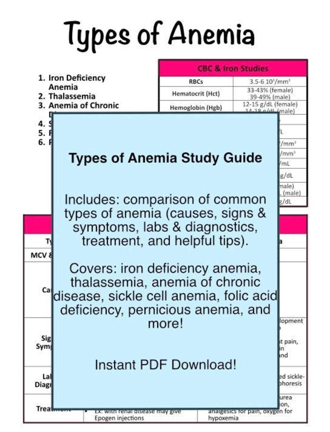 Types of Anemia Study Guide - Etsy