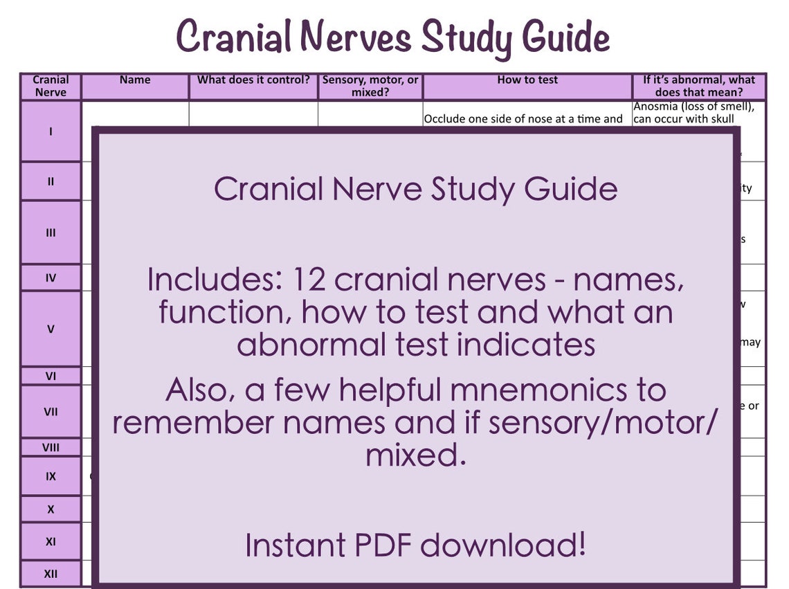 Cranial Nerve Study Sheet - Etsy