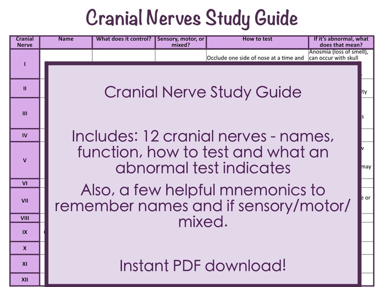 Cranial Nerve Study Sheet - Etsy