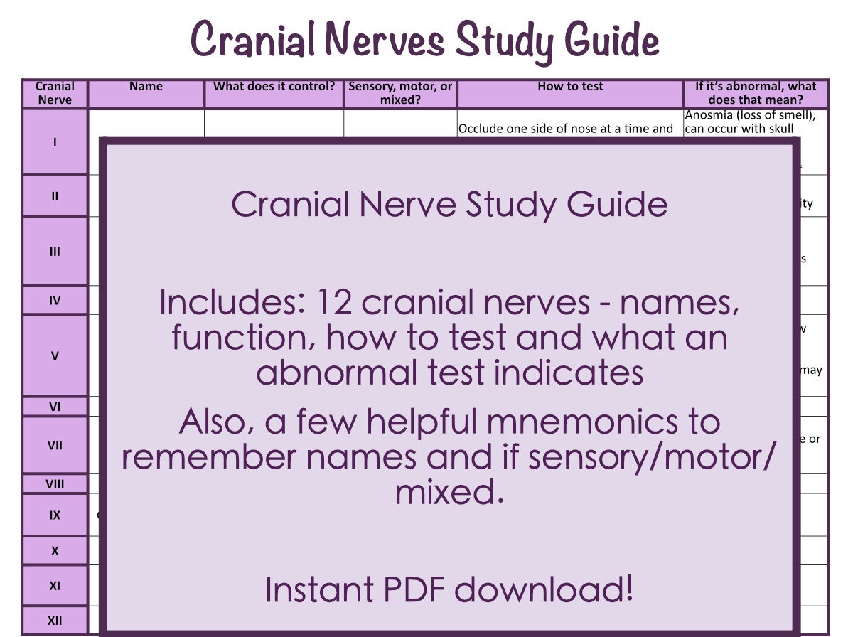 Cranial Nerve Study Sheet - Etsy