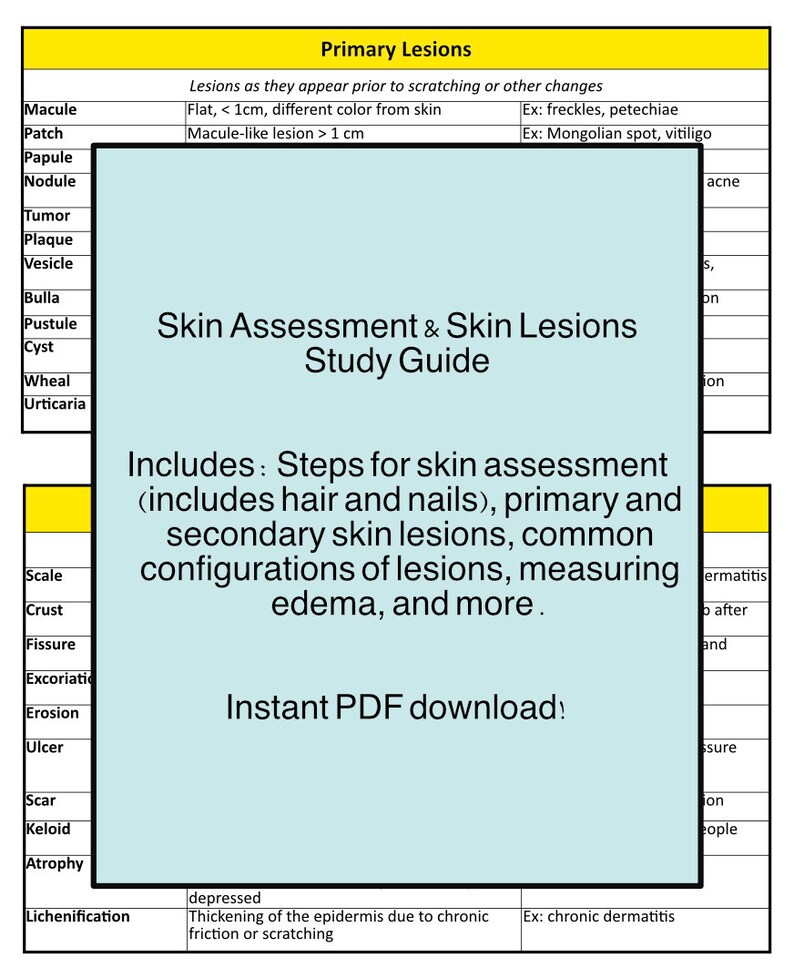 Skin Assessment and Skin Lesions Study Guide - Etsy