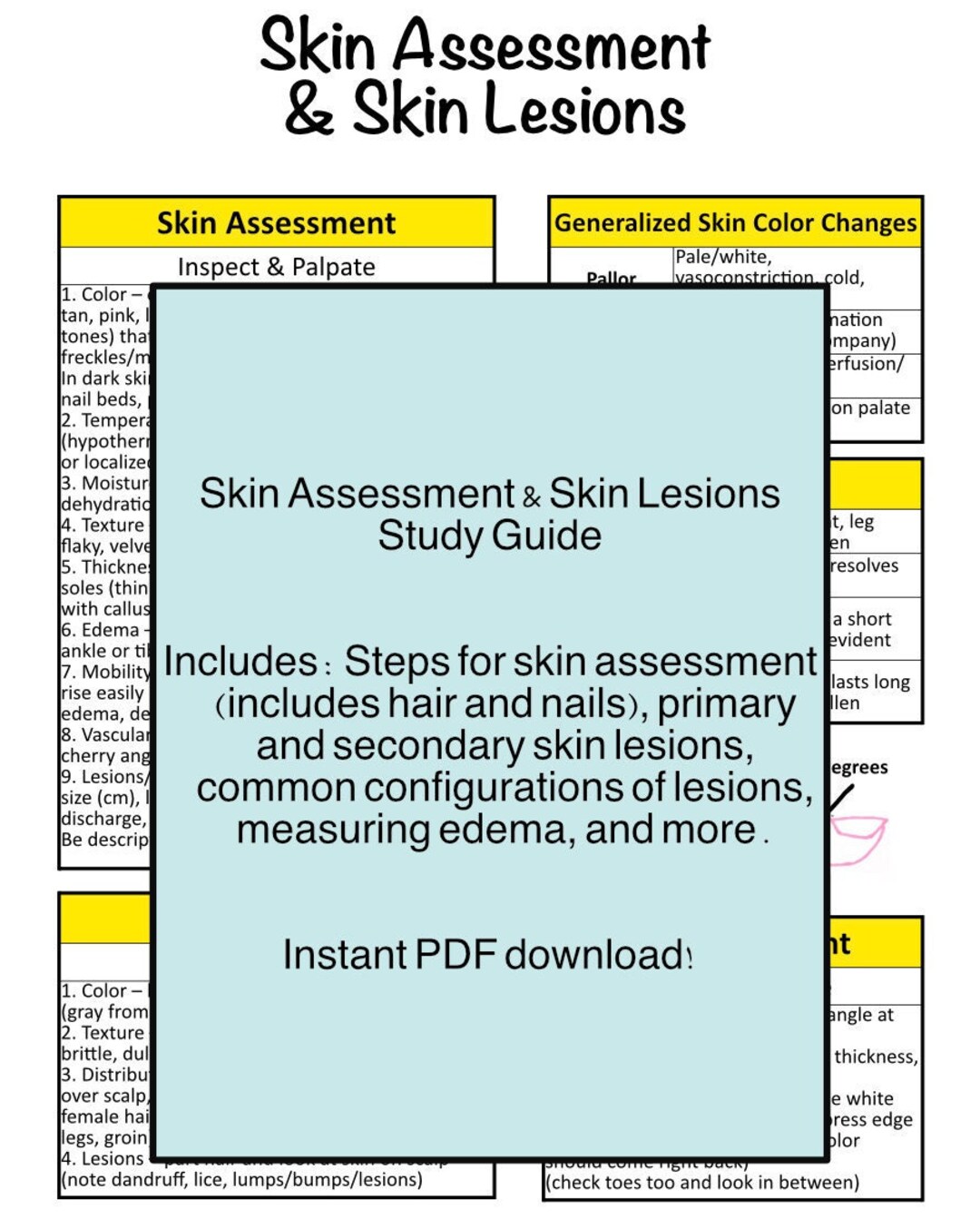 Skin Assessment and Skin Lesions Study Guide - Etsy