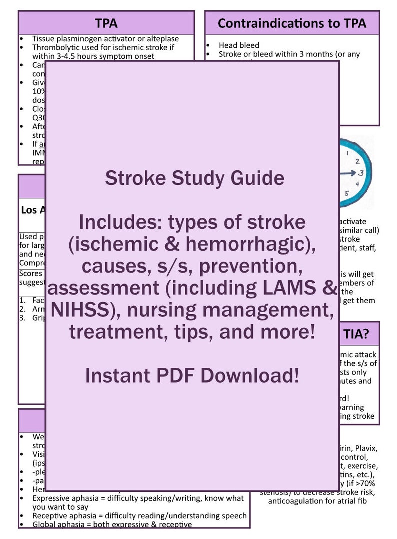 Stroke Study Guide - Etsy