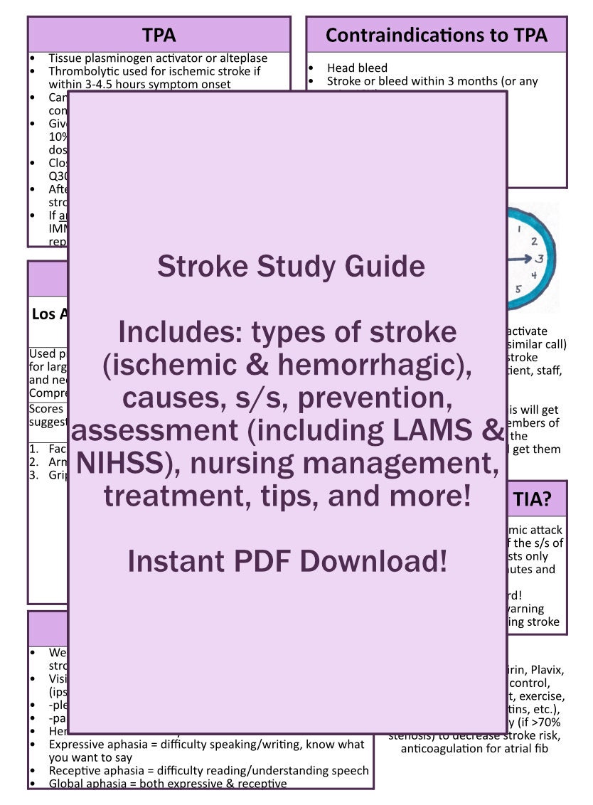 Stroke Study Guide - Etsy