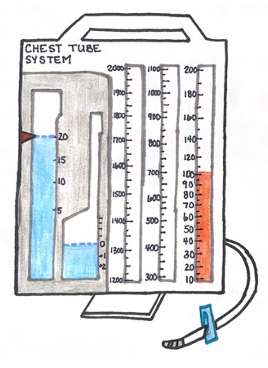 Chest Tube Study Guide - Etsy