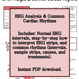 Complete Cardiology Nursing Study Bundle - Etsy