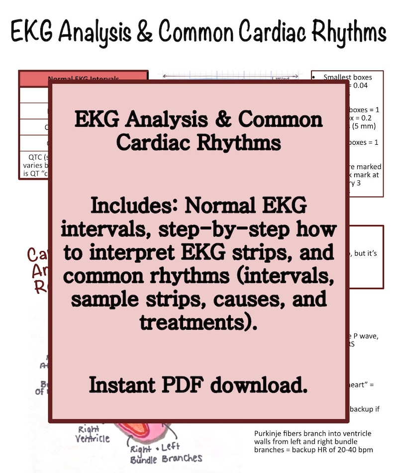 Complete Cardiology Nursing Study Bundle - Etsy