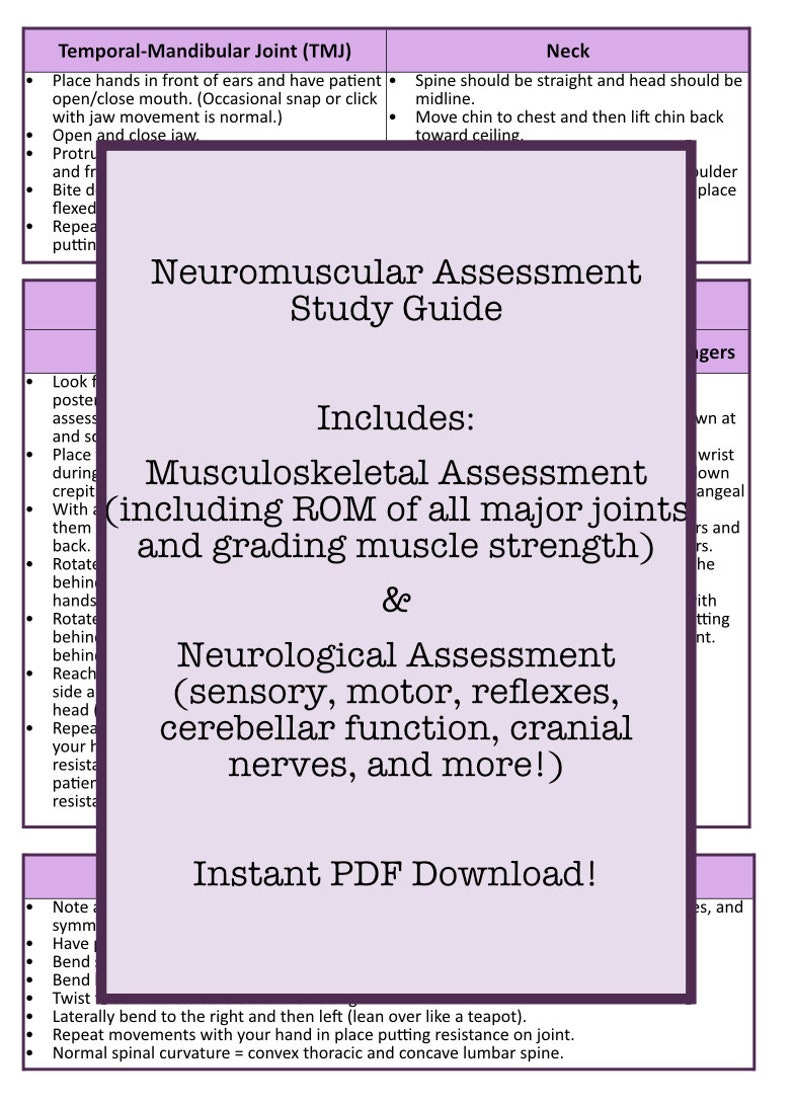 Neuromuscular Assessment Study Guide - Etsy