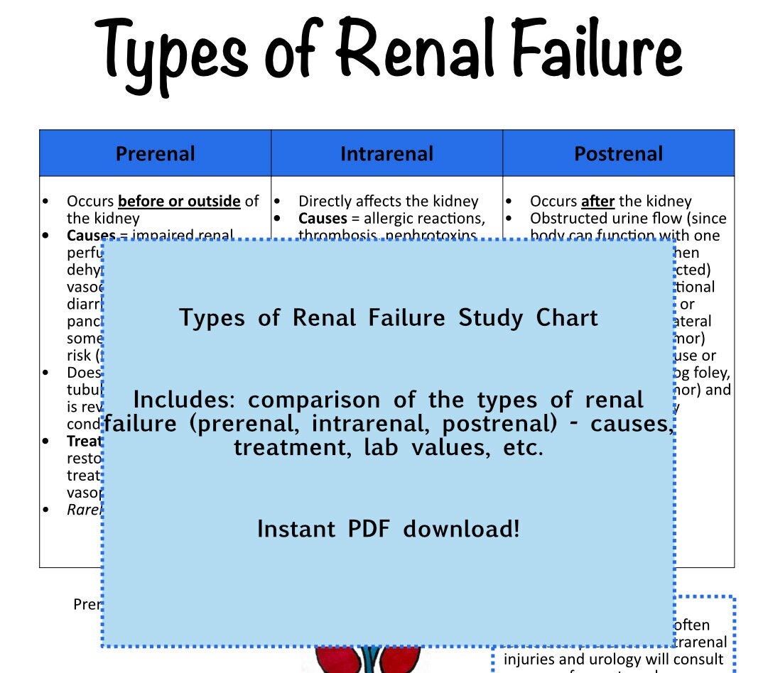 3 Types of Renal Failure Study Guide - Etsy