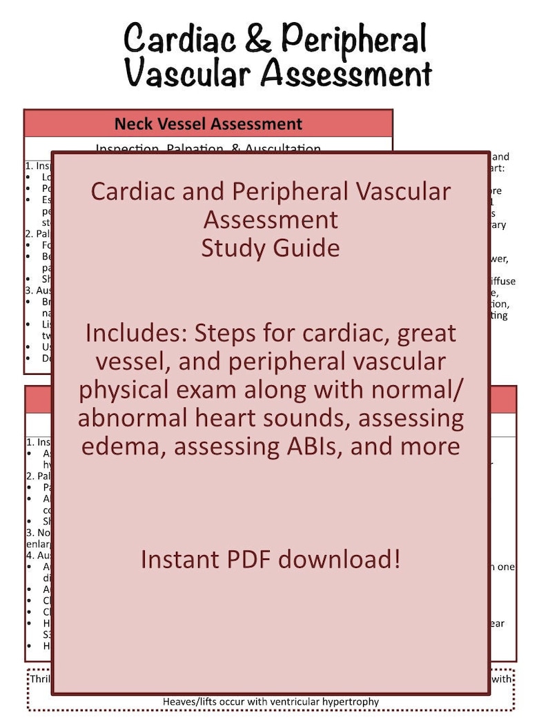 Cardiac & Peripheral Vascular Physical Assessment Study Guide - Etsy